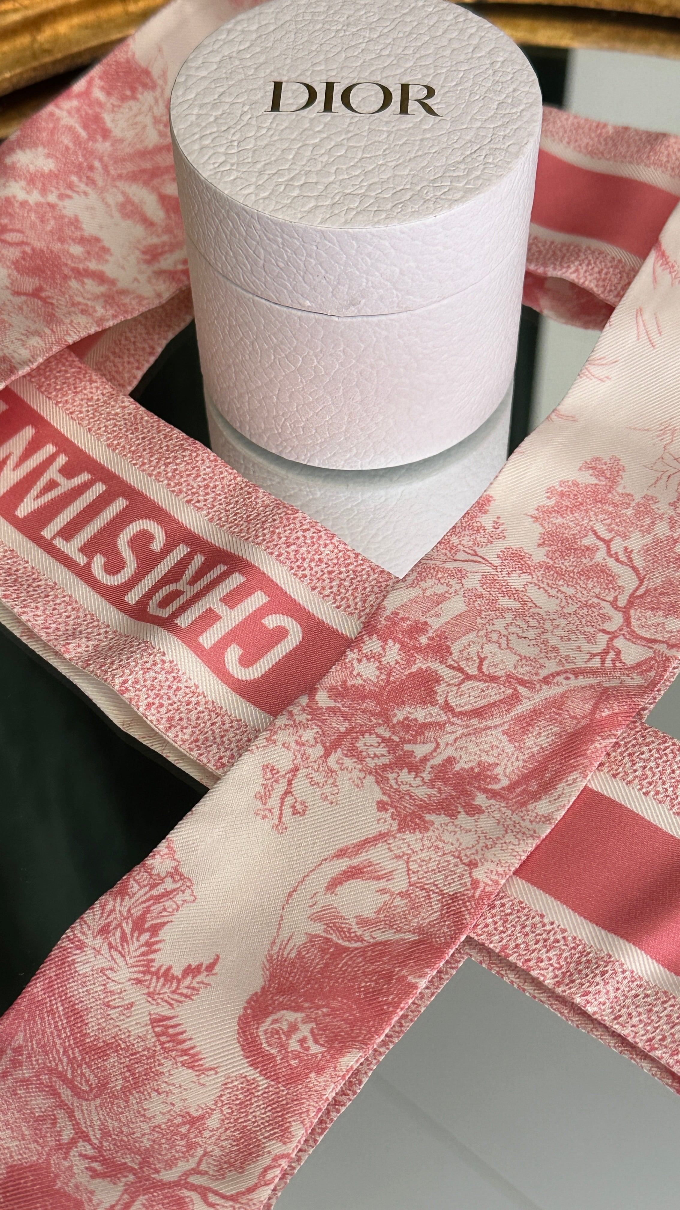 CHRISTIAN DIOR Mitzah Toile De Jouy Pink – REAWAKE