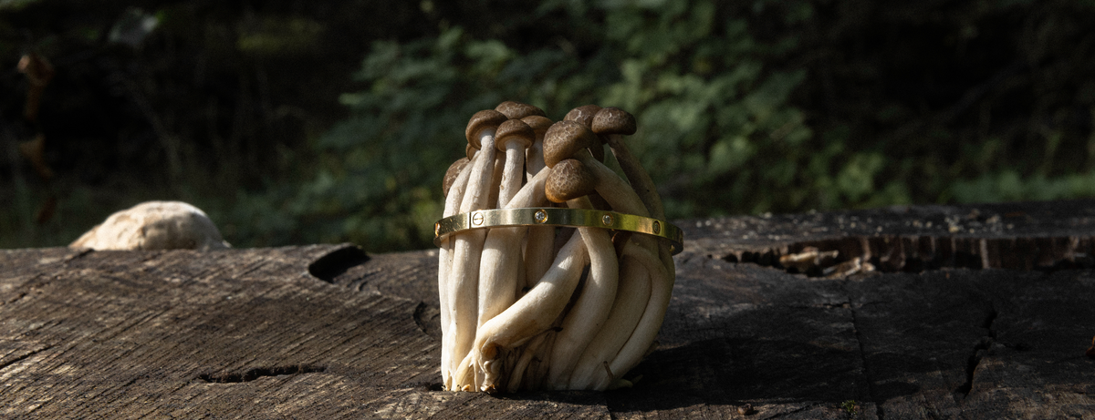 Reawake Fashion Treasures – REAWAKE