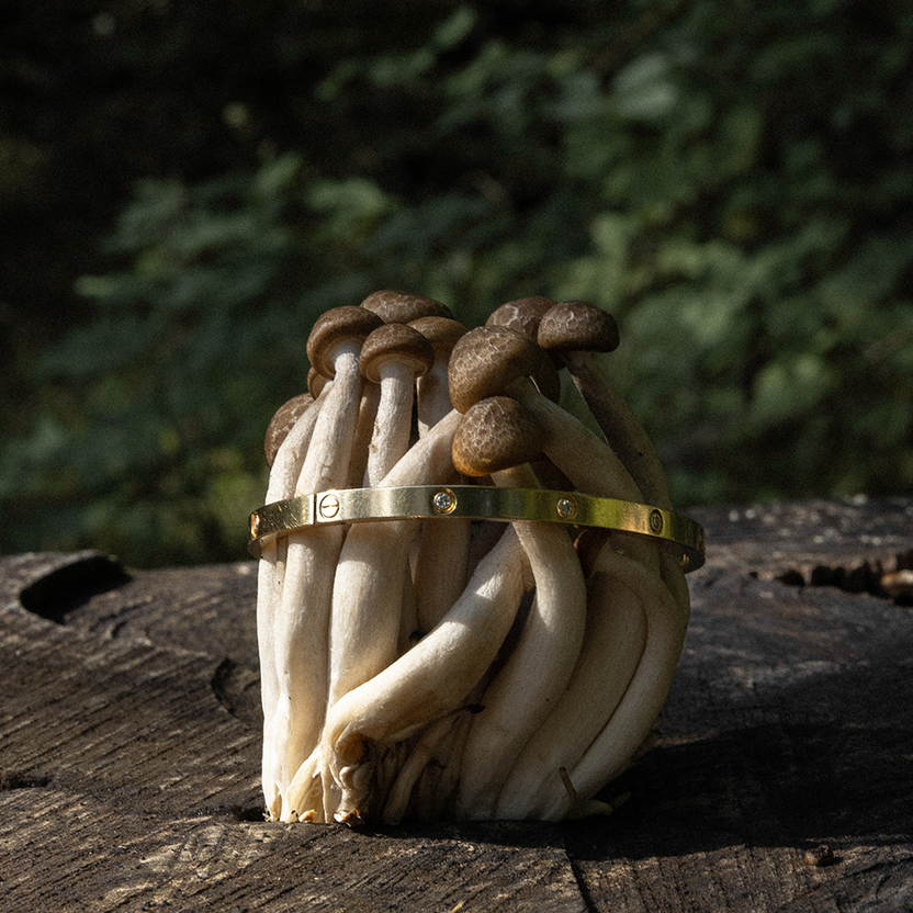 Reawake Fashion Treasures – REAWAKE