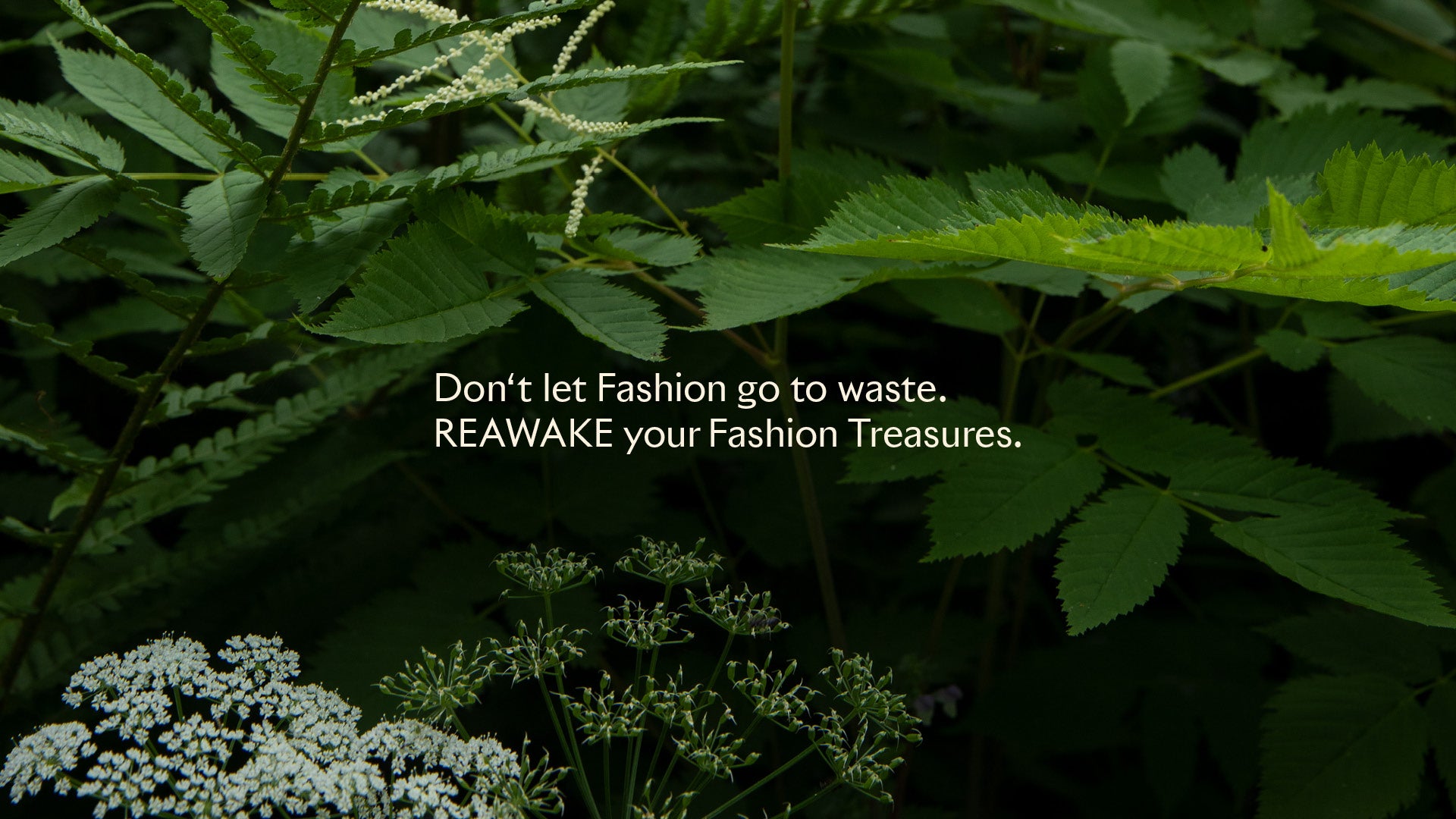 Reawake Fashion Treasures – REAWAKE