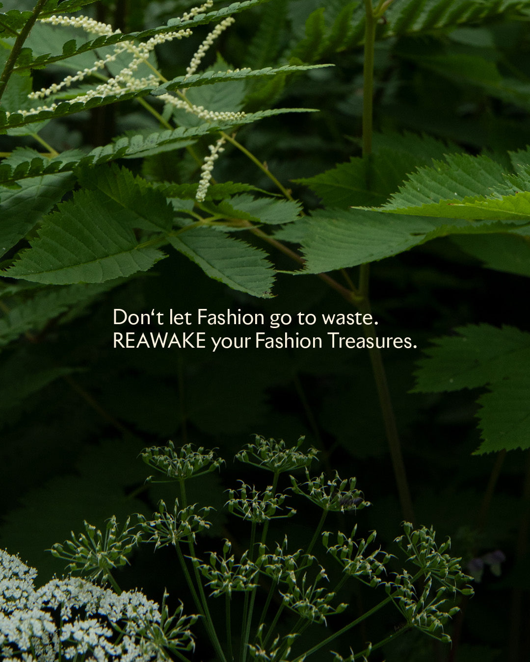 Reawake Fashion Treasures – REAWAKE